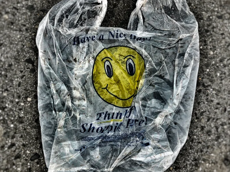 The Impact of Single-Use Plastic Bags on the Environment - The Official ...